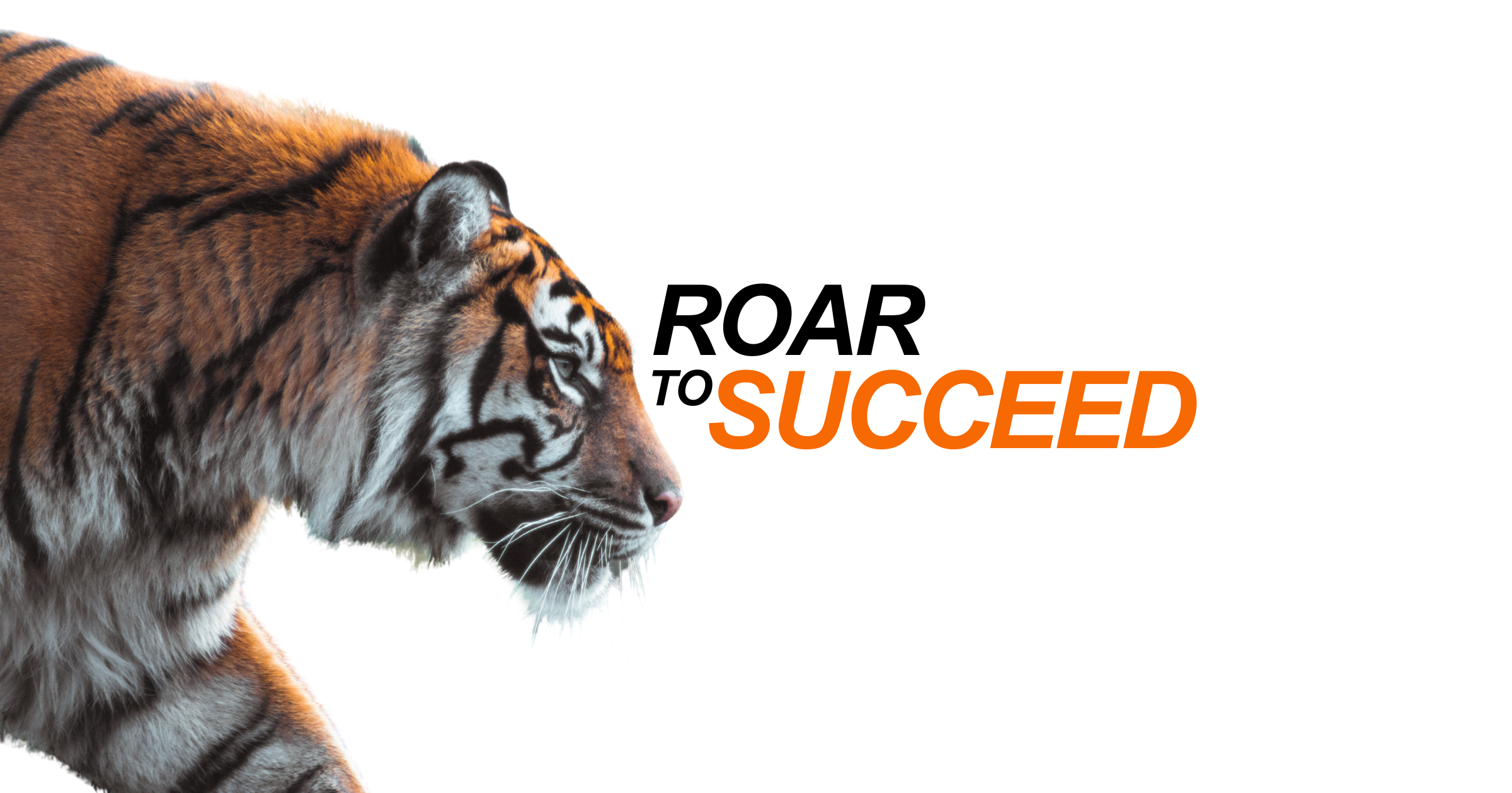 “Roar to Succeed” initiative to support student success | RIT Croatia | RIT